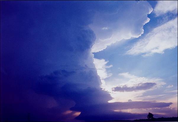 The Low Precipitation Supercell - Storm Structure in its Splendour